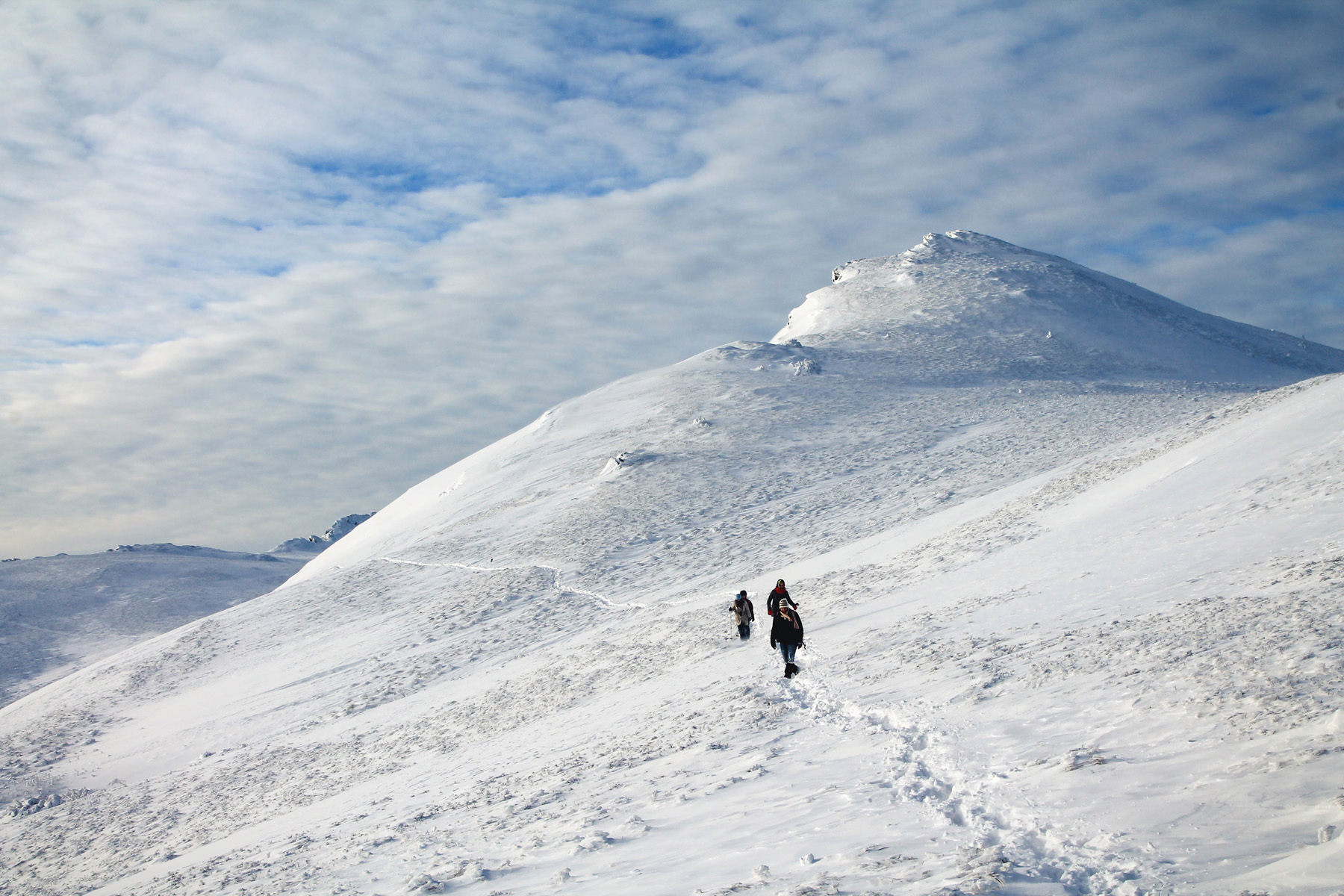 Zimowe Bieszczady. Trasy na Smerek, Tarnicę, Halicz. Noclegi - gdzie spać?