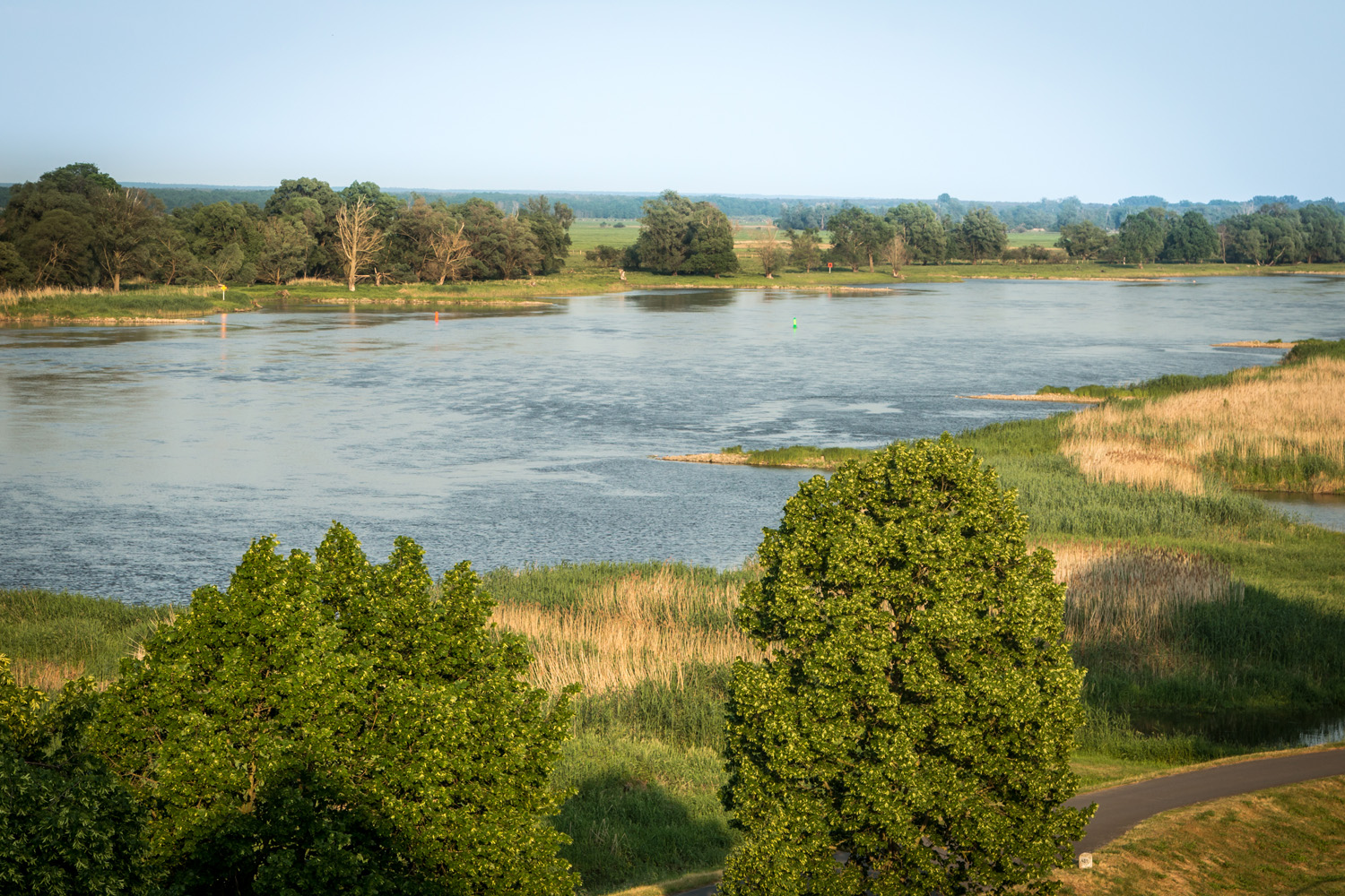 Brandenburgia - park narodowy dolnej Odry. Ścieżka rowerowa wzdłuż Odry