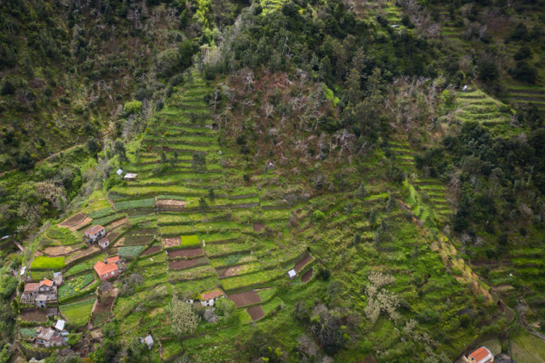 Madera - ciekawe miejsca i co warto zobaczyć na Maderze? A czego nie?