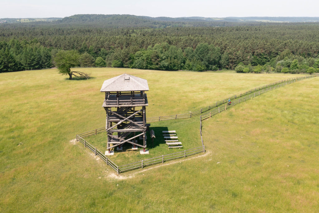 Roztocze - 20 ciekawych miejsc, które warto zobaczyć!